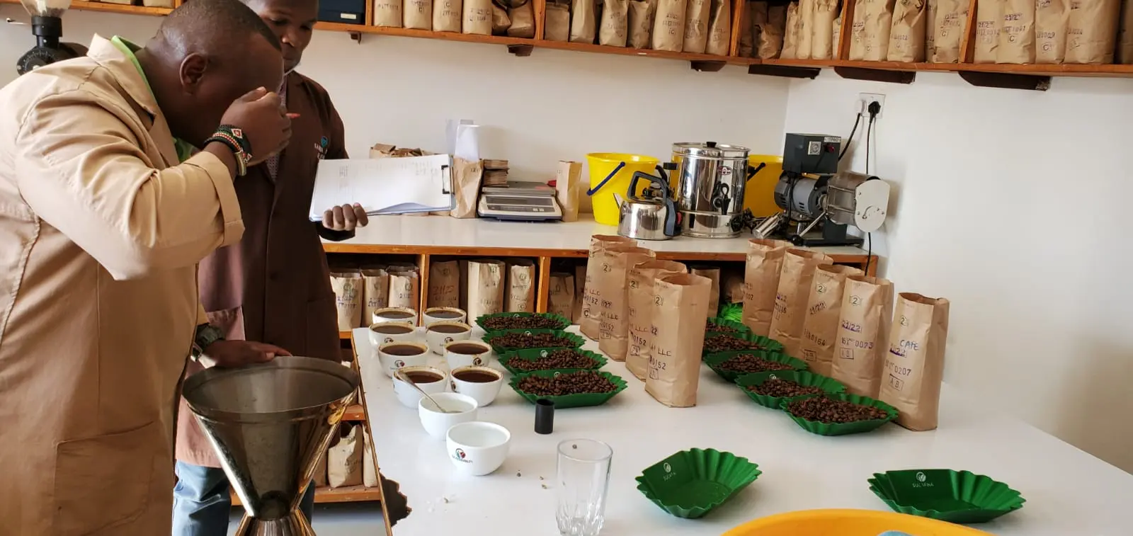 The Ultimate Guide to Coffee Processing Methods | Solai Coffee